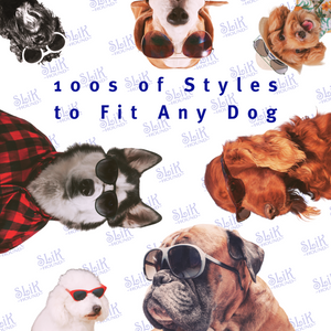 SLiK Hound Buckle & Martingale Dog Collars & Leashes Kansas City